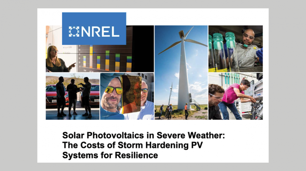 Solar Energy Reports | SolRenew